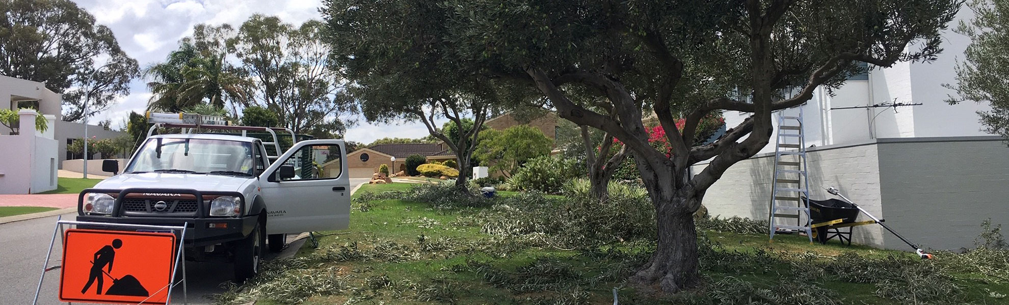 Advanced Arbor – Tree Pruning Perth